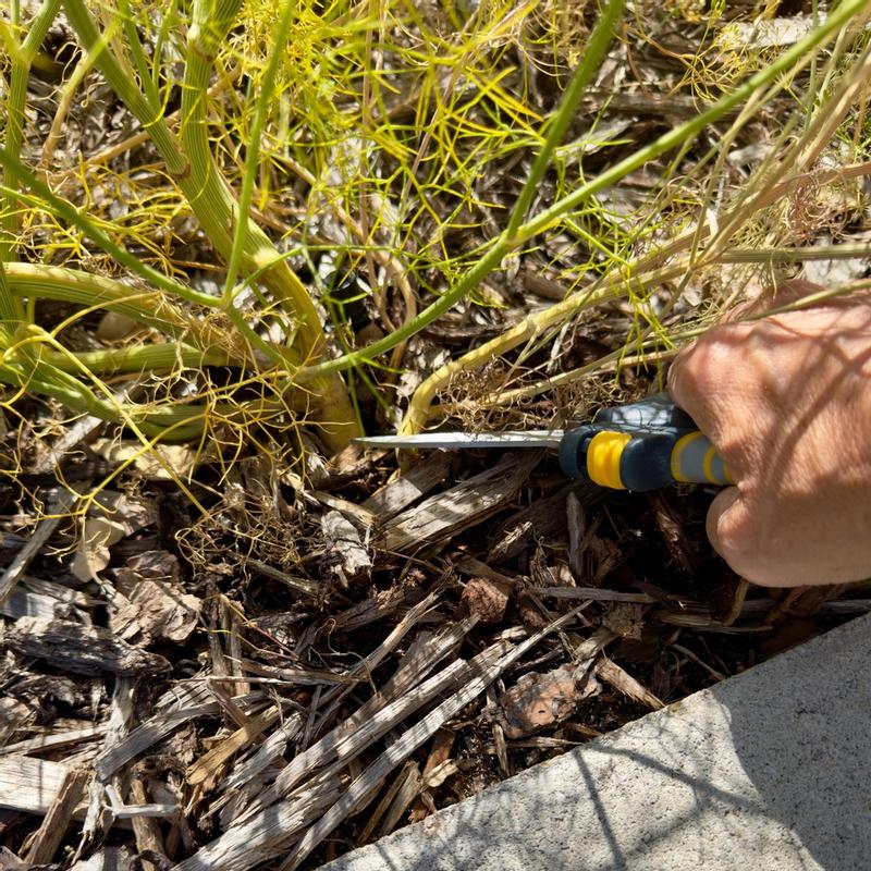 Woodland Tools Multipurpose garden hand tool in the Floral Scissors ...