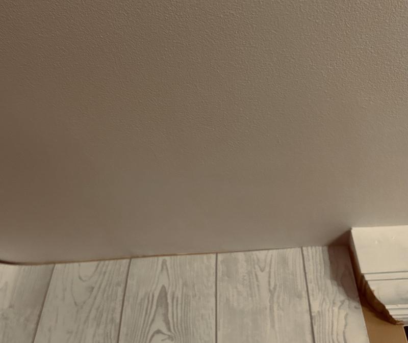 Scott Living 30.75-sq ft Natural Vinyl Textured Shiplap 3D Self ...