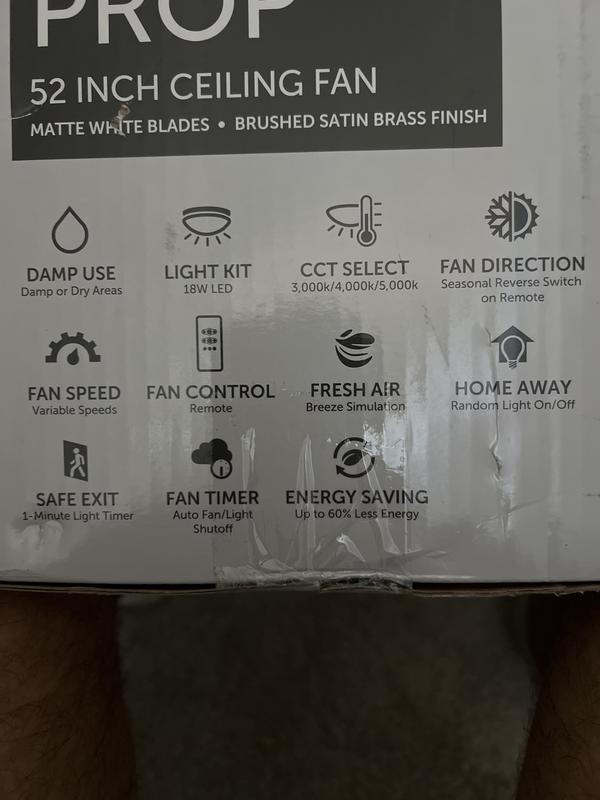 Fanimation Studio Collection Prop 52-in Brushed Satin Brass with Matte ...