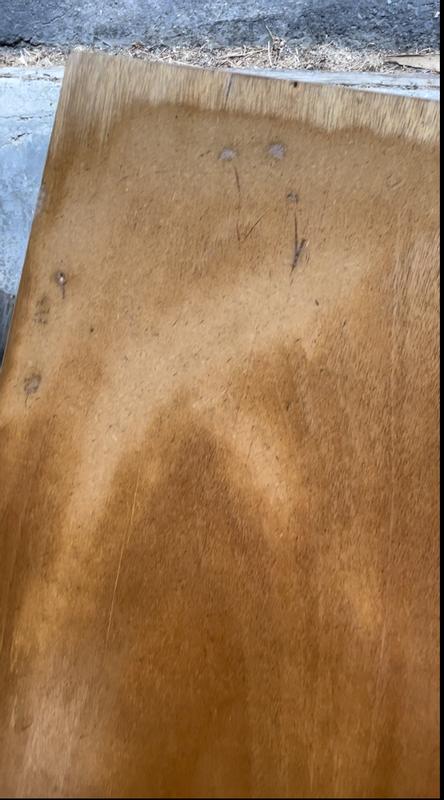 RELIABILT 36-in x 80-in Unfinished Hollow core Flush Right hand Textured Unfinished Lauan Veneer ...