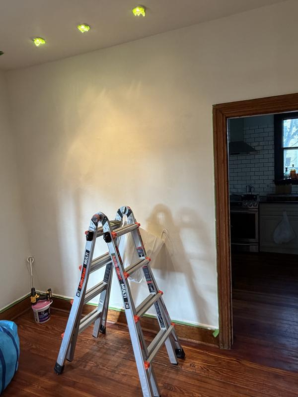 Vasari Flat Oxford Tan #16 Interior Paint ( 1-quart ) in the Interior ...