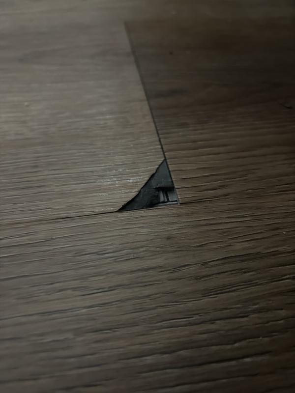 STAINMASTER Ainsley 12-mil x 7-in W x 48-in L Waterproof and Water ...