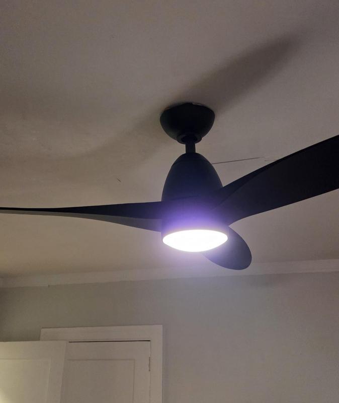 Fanimation Studio Collection Prop 52-in Brushed Satin Brass with Matte ...