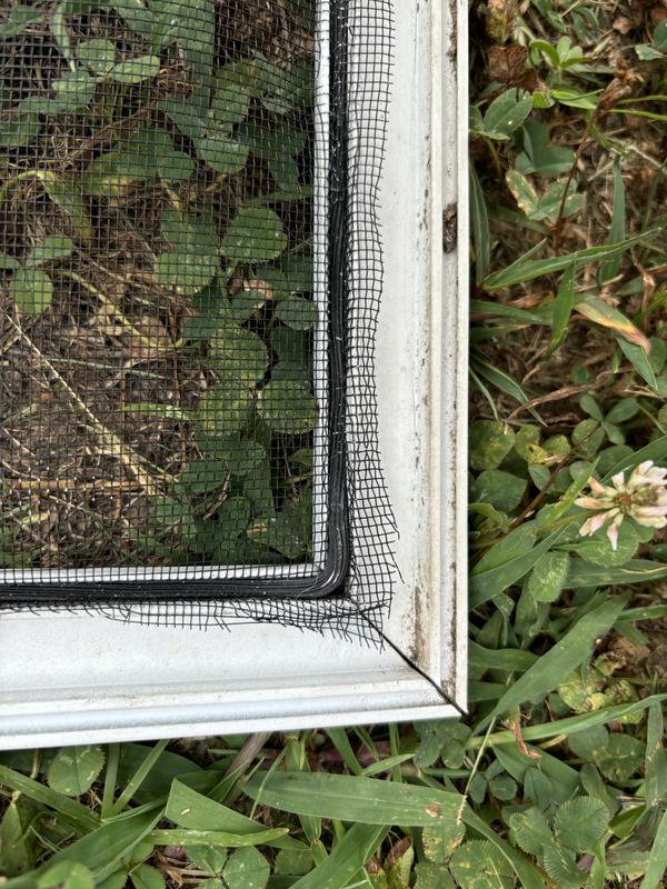 RELIABILT 11/16-in x 1-3/8-in x 12-ft Primed Finger Jointed Pine 163 ...