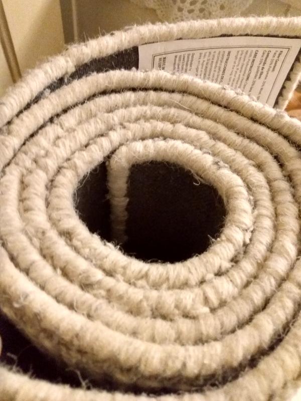 Origin 21 Microdot 8 X 10 (ft) Platinum Indoor Mid-century Modern Area ...