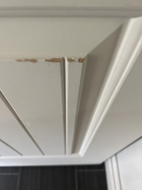 JELD-WEN 30-in x 80-in Primed Hollow Core 2-panel Right Hand Molded ...