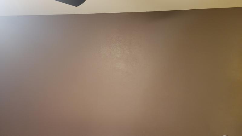 Valspar Reserve Eggshell Maple Leaf 2008-8b Latex Interior Paint ...