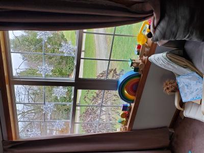 GE Color Choice 96-Count Multi-function Color Changing Snowflake LED ...