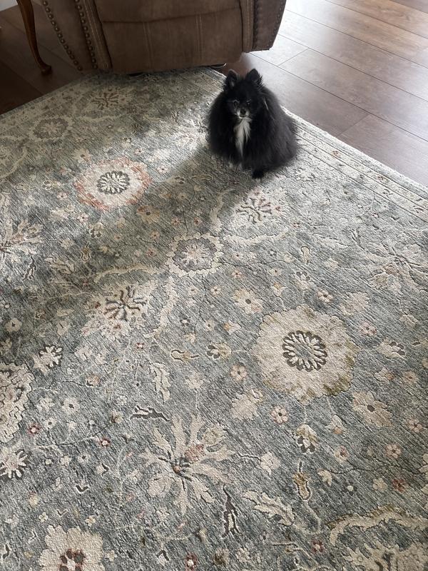 allen + roth with STAINMASTER Sapphire Petals 9 X 12 (ft) Blue Indoor ...