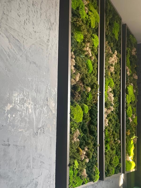 Valspar Venetian Plaster Color Chart