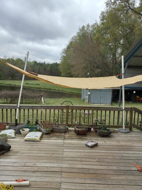 Sun-Ray SunRay 8-ft x 10-ft Sand Shade Sail with Fasteners 202004 at ...