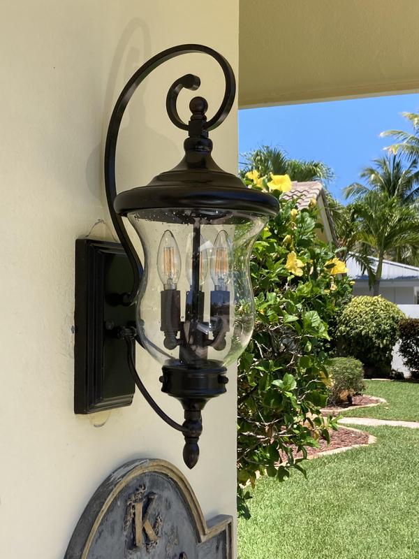 Carriage Traditional Outdoor Wall Light Fixture LED Bronze Brown 22 ...