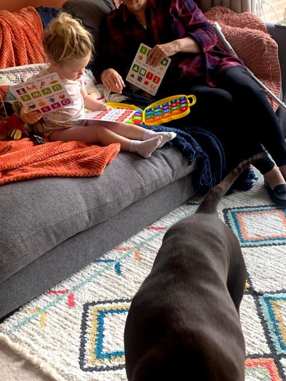 Learning Resources Alphabee Activity Set at Tractor Supply Co
