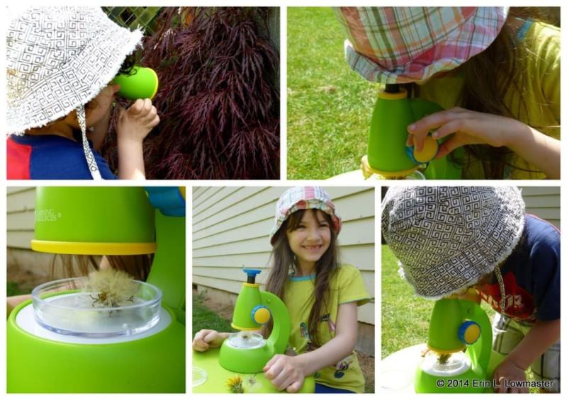 Learning Resources Primary Science - Viewscope - Macy's