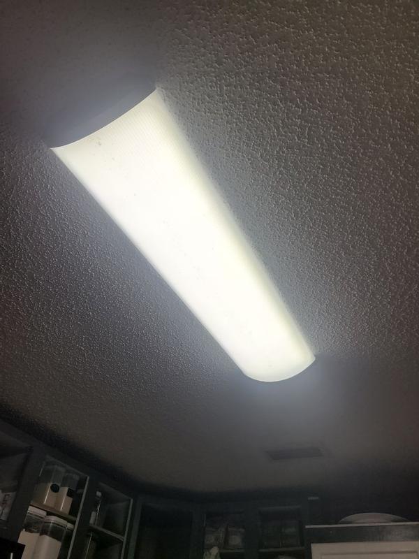 SYLVANIA 32 -Watt EQ T8 Daylight Medium bi-pin base G13 LED Tube Light ...