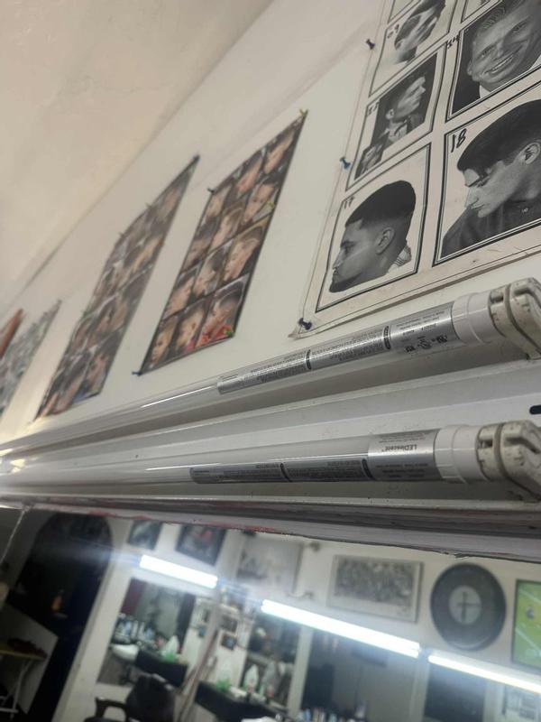 SYLVANIA 32 -Watt EQ T8 Daylight Medium bi-pin base G13 LED Tube Light ...