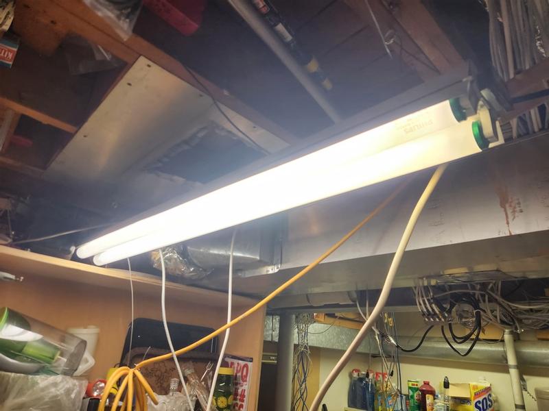 SYLVANIA 40 -Watt EQ T12 Daylight Medium bi-pin base G13 LED Tube Light ...