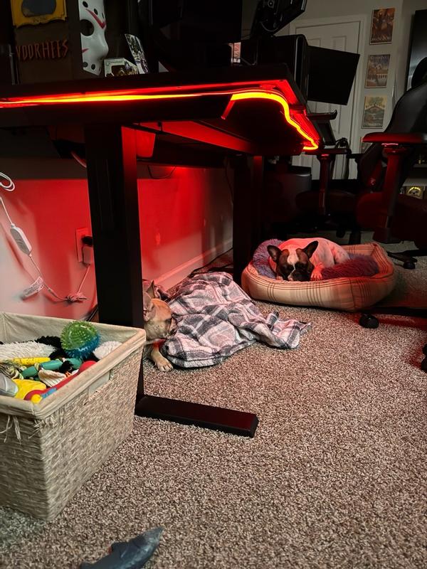 Lepro N1 9.84ft AI Smart RGB Rope Lights, LightBeats Music Sync, Color ...