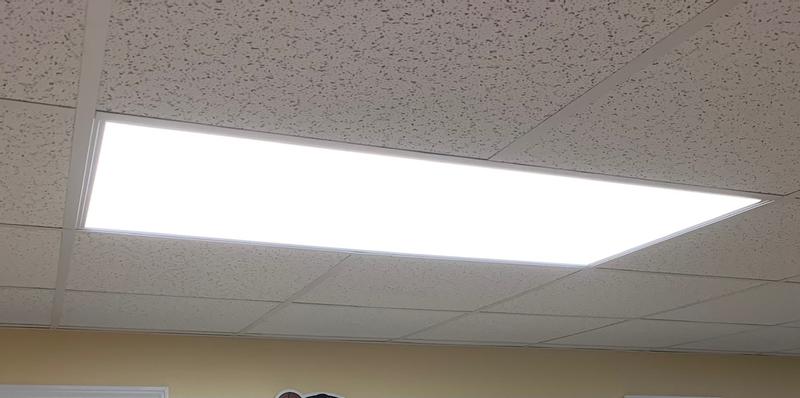 Lithonia Lighting 2-ft x 4-ft Adjustable Switchable LED Panel Light ...