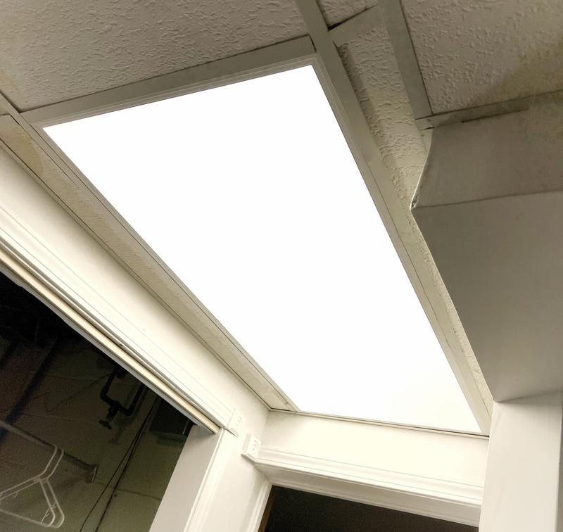 Lithonia Lighting 2-ft x 4-ft Adjustable Switchable LED Panel Light ...