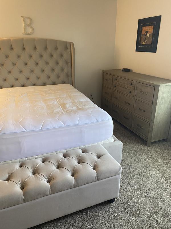 Mariah eastern king velvet upholstered panel bed store