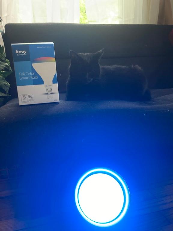 ARRAY by Hampton BR40 940-Lumen Smart Wi-Fi Full-Color LED Flood Light ...