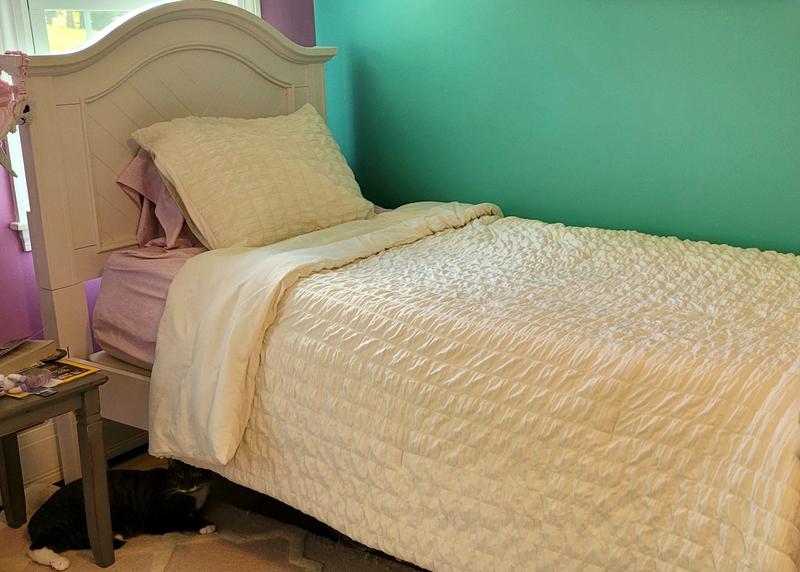 Lush Decor Blue Solid King Comforter with (Fill) 16T008163 at Lowes.com