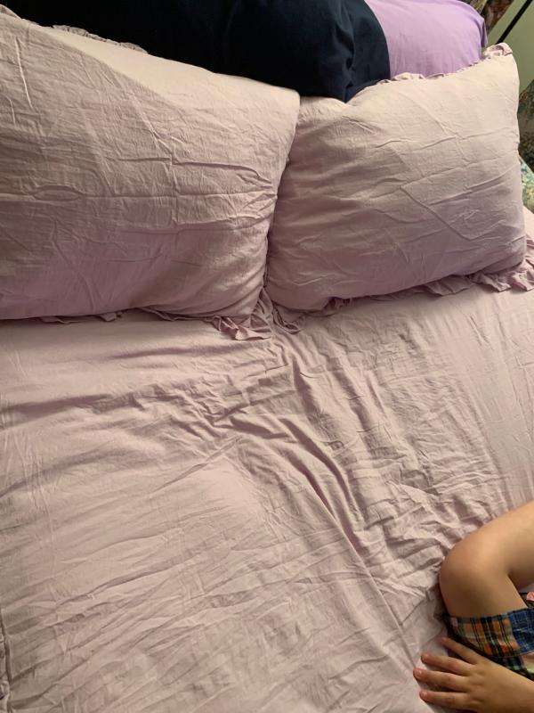 Lush Decor Purple Solid Queen Bedspread with (Fill) 16T004395 at Lowes.com