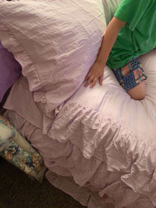 Lush Decor Purple Solid Queen Bedspread with (Fill) 16T004395 at Lowes.com