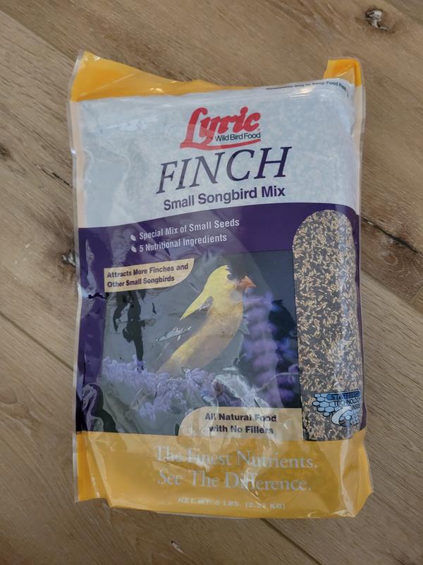 Lyric Small Songbird Bird Finch Food, Attracts Goldfinches, House ...