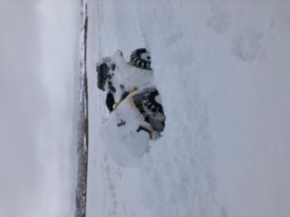 Interco Swamp Lite ATV Tire | MotoSport