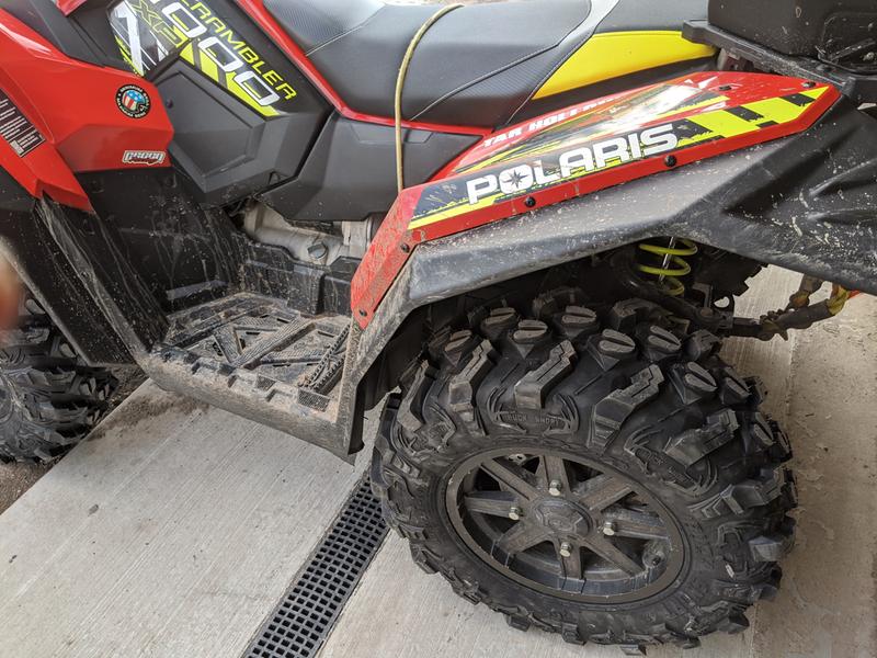 Sedona Buck Snort Tire | MotoSport
