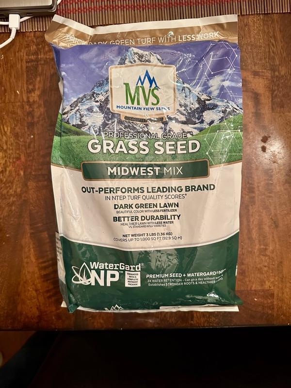Mountain View Seeds Midwest 3-lb Natural Kentucky Bluegrass Grass Seed ...
