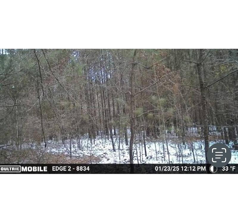 Moultrie Mobile 33 MP Edge 2 Cellular Trail Camera at Tractor Supply Co