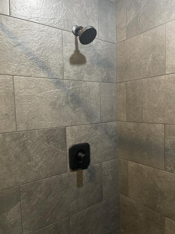 Moen Genta LX Brushed Nickel 1-handle Multi-function Round Shower ...