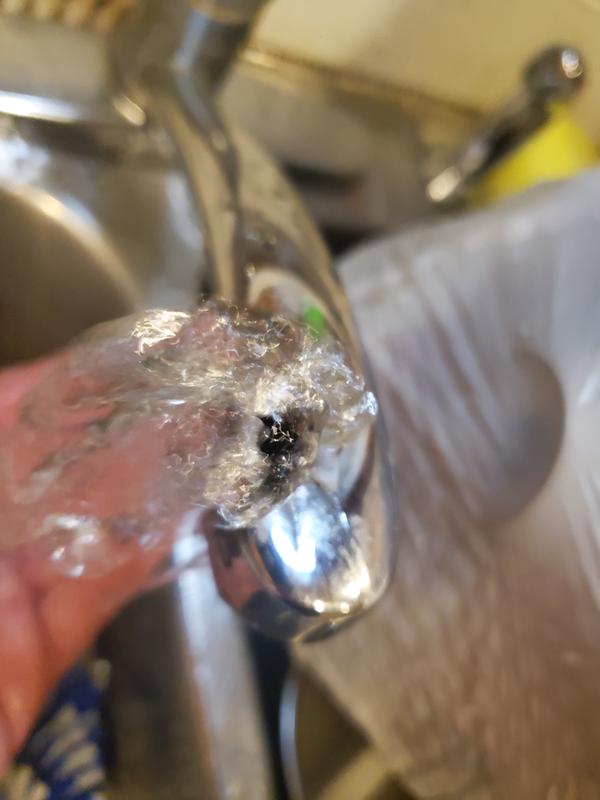 Moen Adler Chrome Single Handle Kitchen Faucet (Deck Plate and Side ...