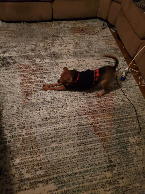 Mohawk Home 2 X 3 (ft) Grey Indoor Abstract Mid-century Modern Area Rug ...