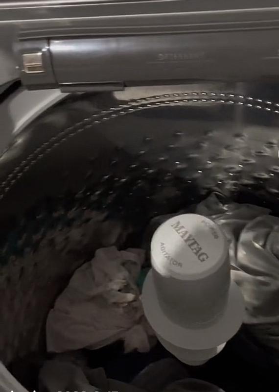 Maytag Pet Pro High Efficiency Agitator Extra Large ( 5.2-cu ft ) Top ...