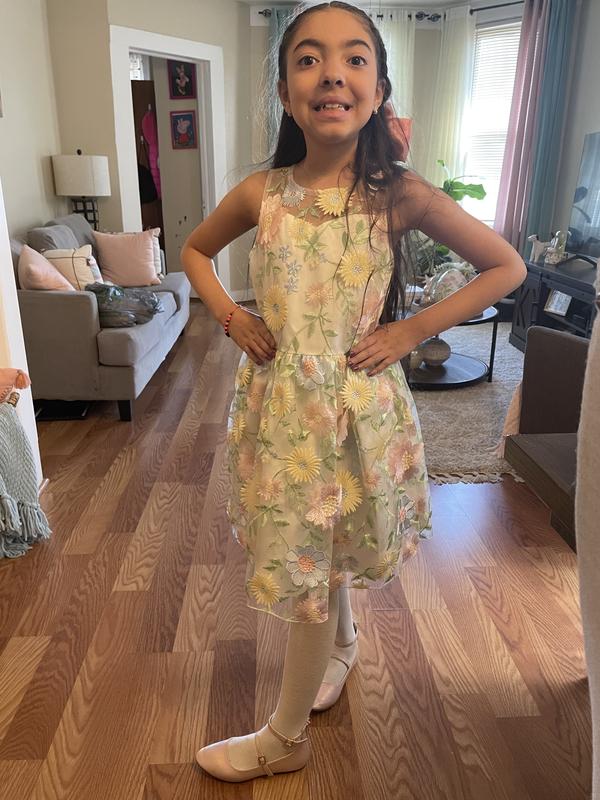 Rare Editions Big Girls 3D Floral Embroidered Social Dress - Macy's