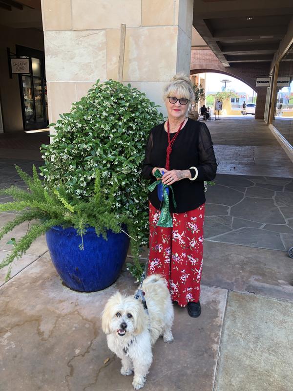 I.N.C. International Concepts Women's High-Rise Wide-Leg Pants, Created ...