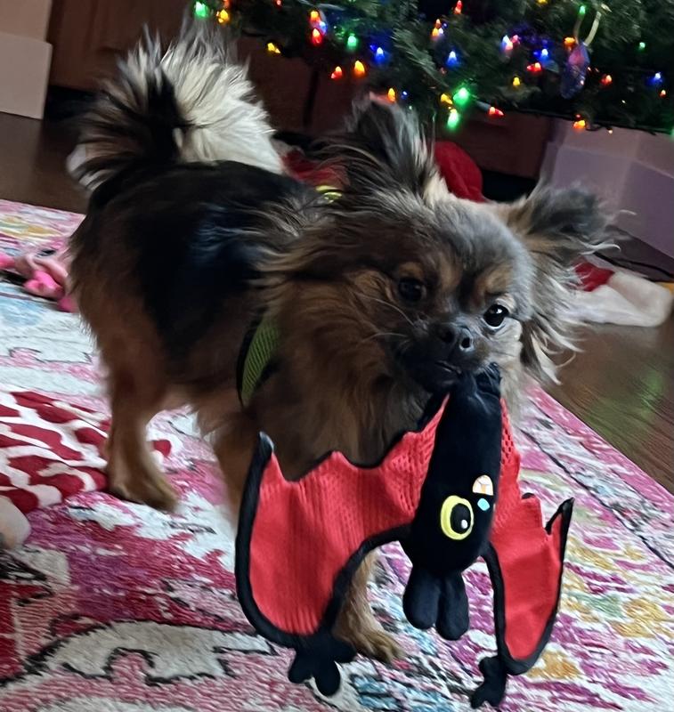 BarkBox Flapper Girl Plush Crinkly Squeaky Dog Toy - Macy's