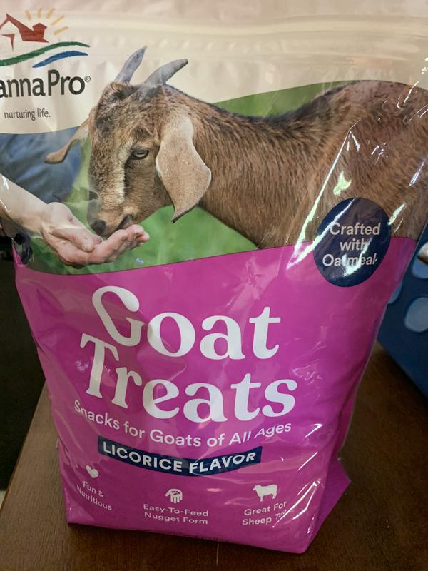 Manna Pro Goat Treats Licorice Flavor Formulated with Oatmeal, 6 lbs ...