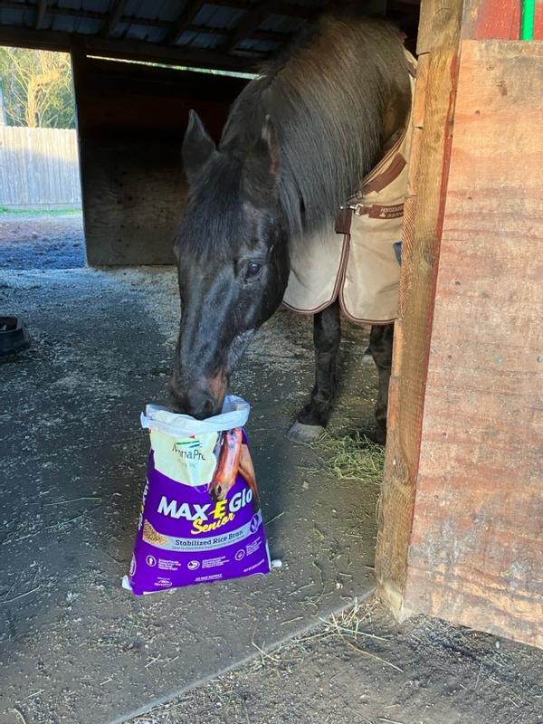 Manna Pro Max-E-Glo Pelleted Senior Horse Rice Bran, 30 lb. at Tractor ...
