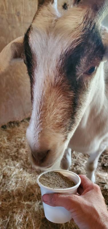 Manna Pro Goat Mineral, 8 lbs. | Petco