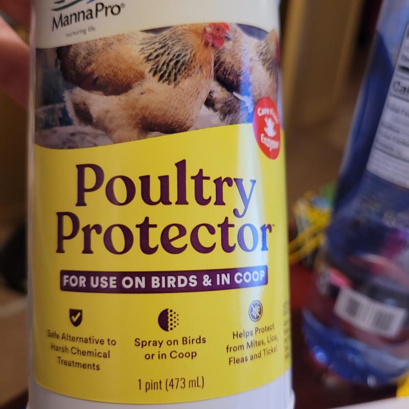 Manna Pro CareFree Enzymes Poultry Protector, 16 fl. oz. | Petco