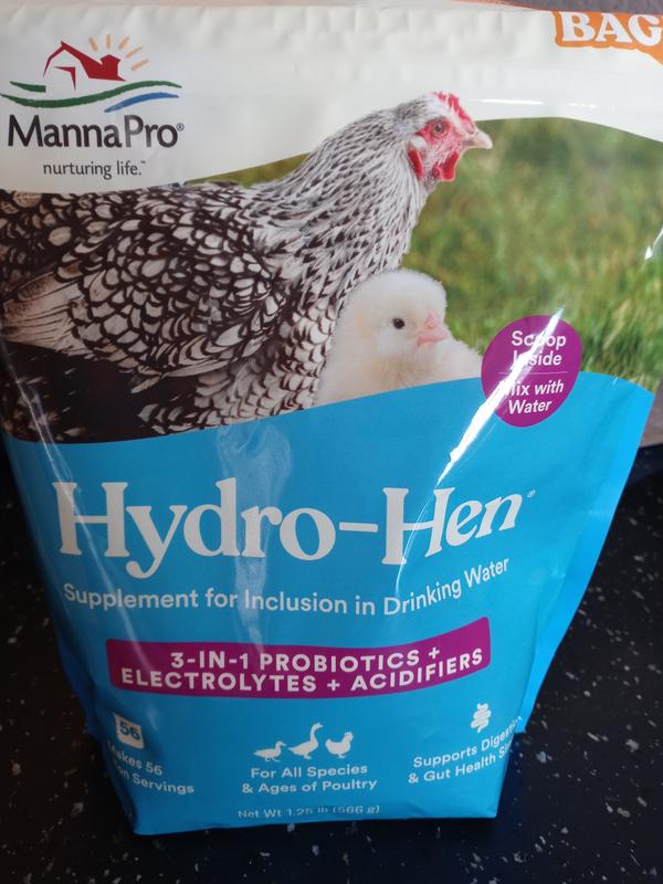 Manna Pro Hydro Hen Poultry Drinking Water Supplement, 20 oz. at ...