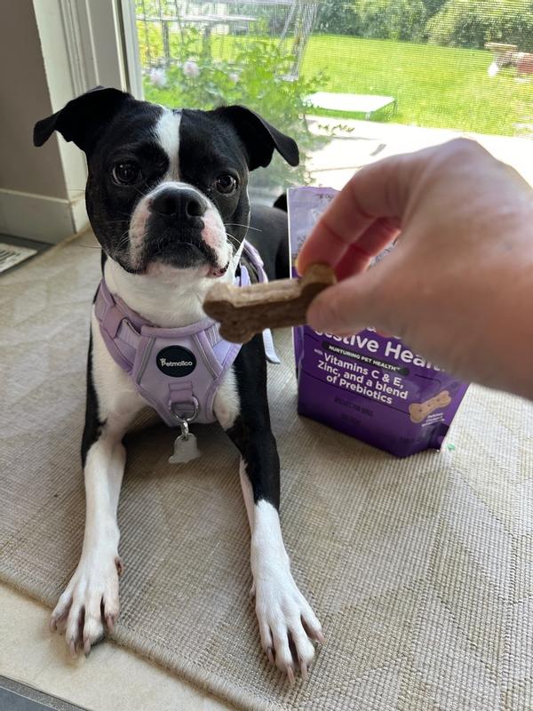 Nutri-Vet K9 Immunity & Digest Biscuit 16 oz. at Tractor Supply Co