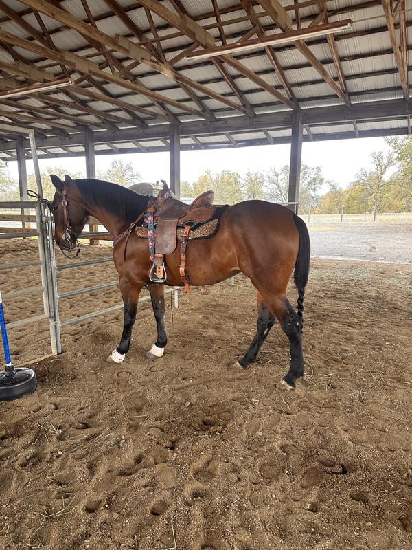 Manna Pro Sho-Glo Pelleted Horse Supplement, 5 lb. at Tractor Supply Co