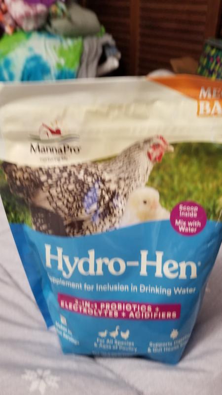 Manna Pro Hydro Hen Poultry Drinking Water Supplement, 20 oz. at ...