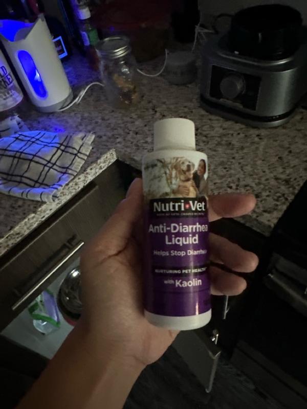 Nutri-Vet Anti-Diarrhea Liquid Digestive Supplement for Dogs, 4 oz. at ...